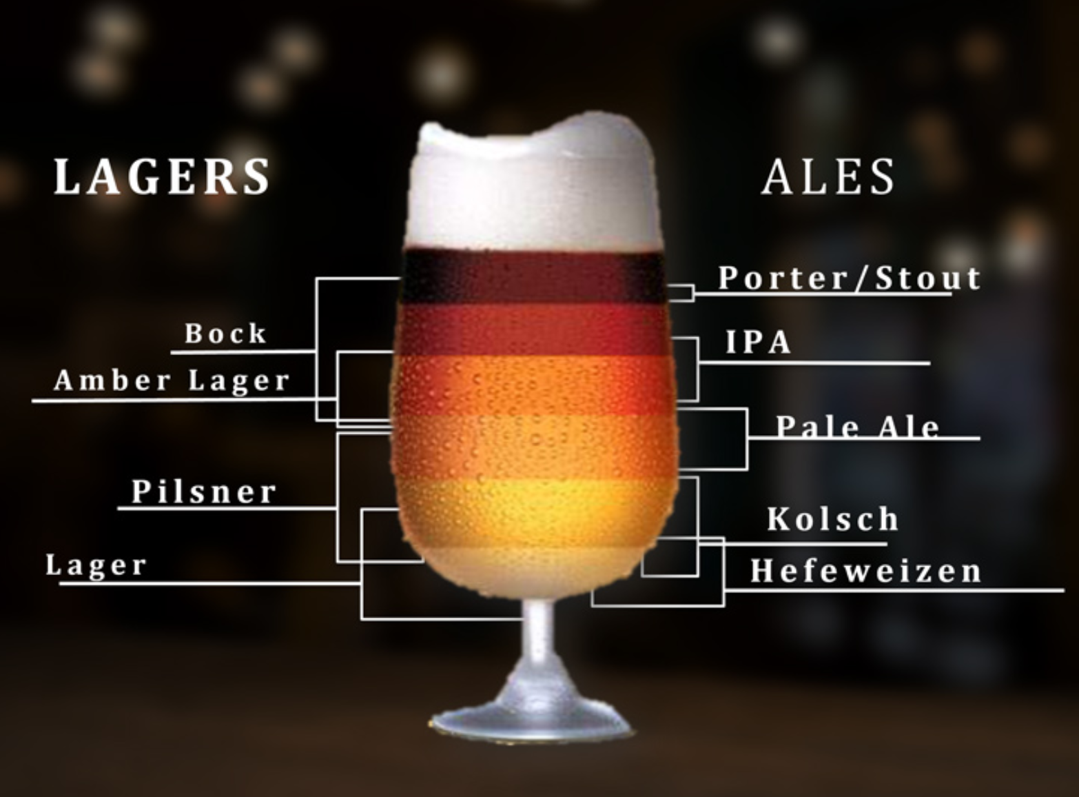 Blog – De ce IPA si nu Lager? – SIZZLE Brewery